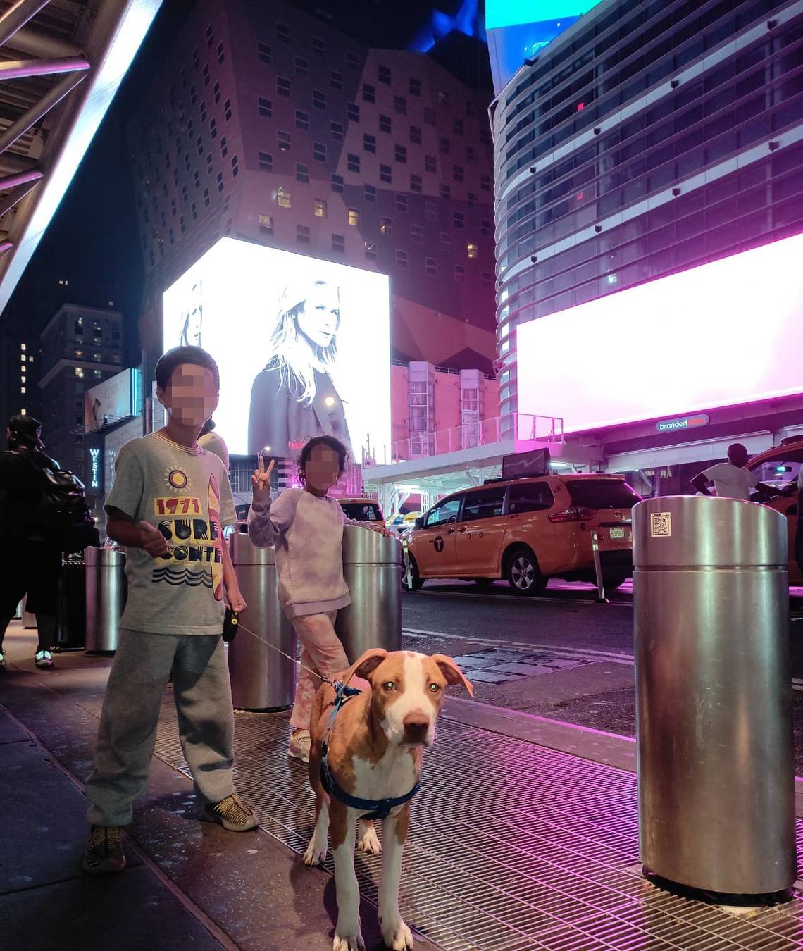 Travesía canina: MAX LA MASCOTA que migró CaigaQuienCaiga.net